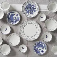 Blue Bird China – Firefly